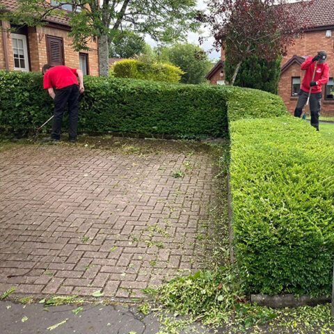 Hedge Trimming - Landscope Ground Maintenance